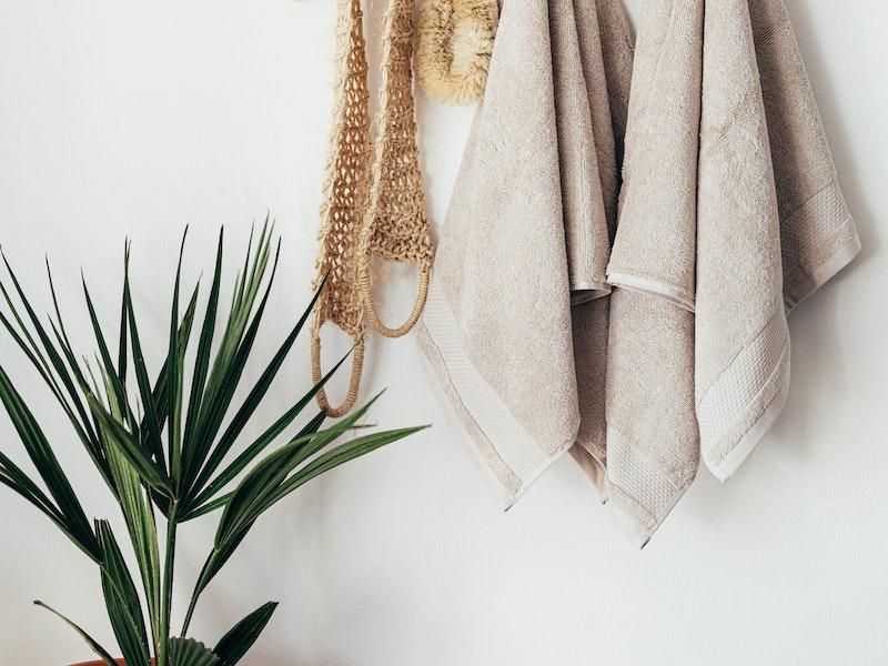 Daisy Bee Clean - Cleaning Services Wraysbury, Staines,Ascot, Virginia ...