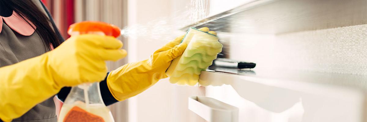 Dust that needs removing? | Daisy Bee cleaning services, domestic ...
